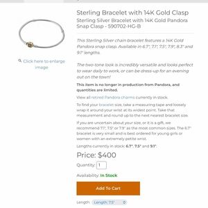 Pandora | Jewelry | Pandora Silver Gold Clasp Bracelet Theme Rose ...